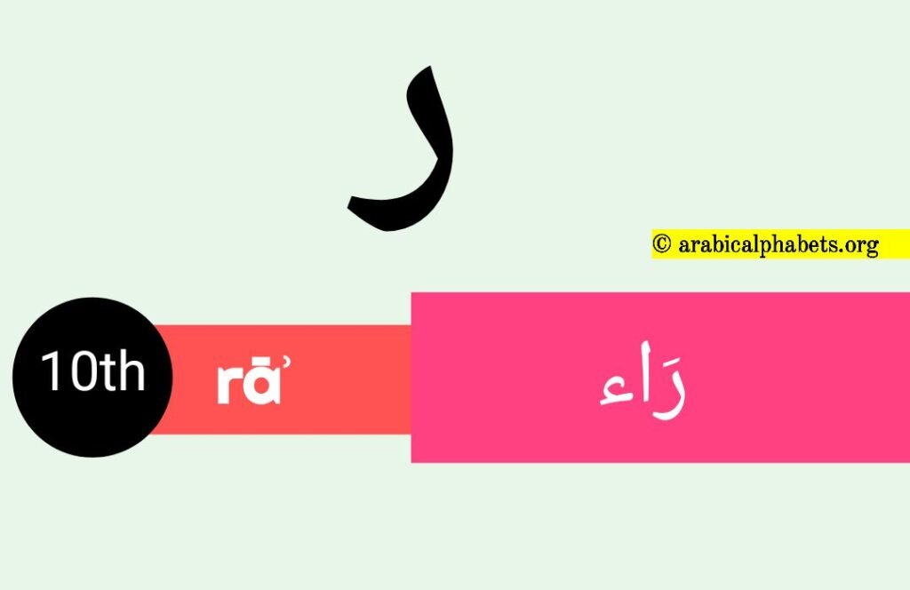 Arabic Letter Ra - (ر) Read & Write with Illustrations Printable Poster