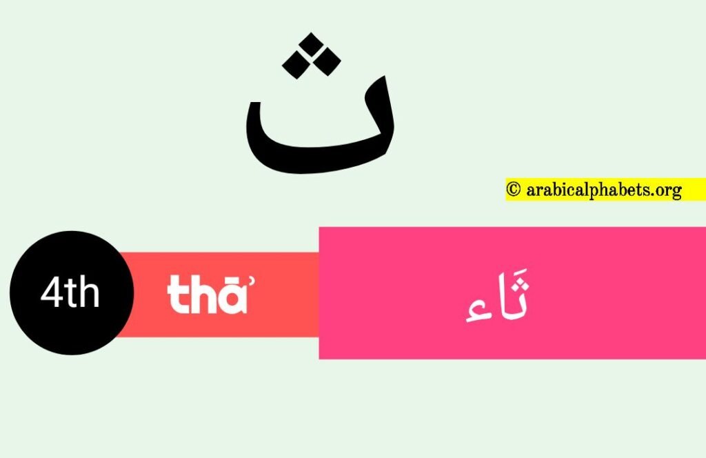 Arabic Letter Hāʾ - (ه) Read & Write with Illustrations Printable Poster